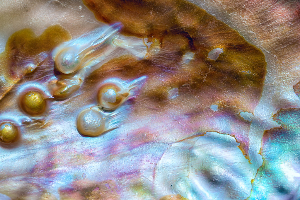 LA NACRE DE NACRICARE - Nacricare